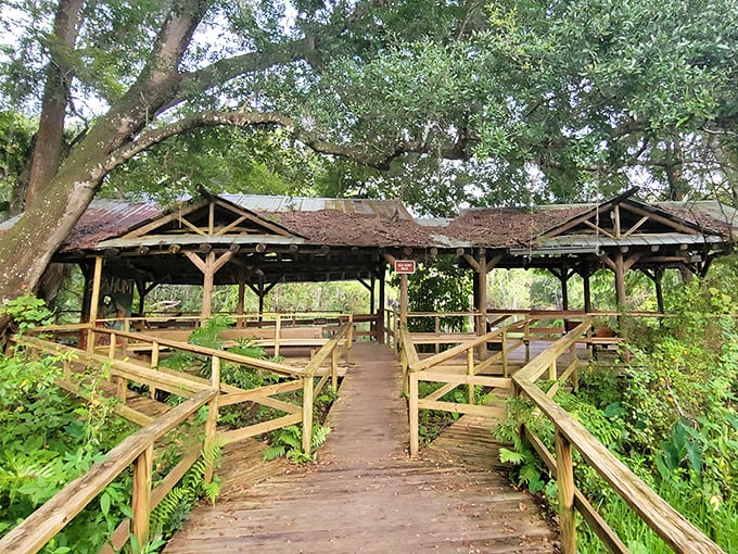This rustic wooden shelter has witnessed countless "oohs" and "aahs" as visitors spot their first manatee or alligator in the wild.