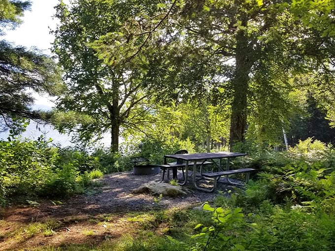 Lunchtime serenity served with a side of dappled sunlight &ndash; the kind of dining experience no five-star restaurant can match.