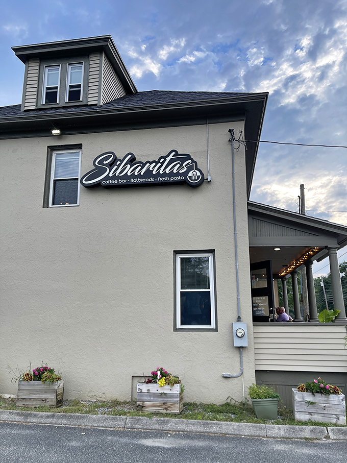 Sibaritas brings coffee culture and fresh pasta together under one roof—proving that some of life's best pleasures come in humble packages.