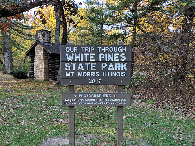Every great journey needs documentation, and this vintage sign practically begs you to snap that commemorating family photo.
