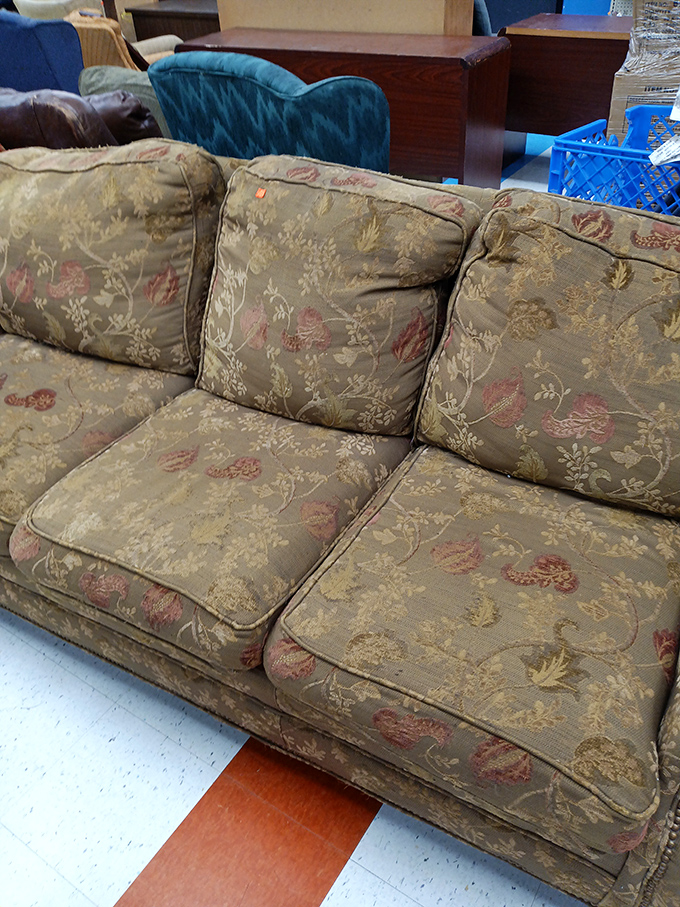 Furniture pieces wait patiently for their second act, ready to star in your home's next chapter.