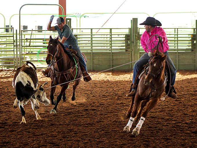 At the Southern New Mexico State Fair & Rodeo, skilled cowboys demonstrate that team roping is the original collaborative workplace exercise.