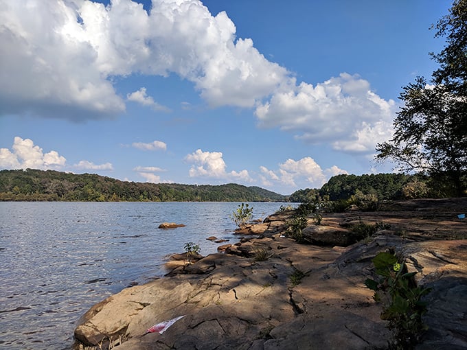 Stephens Recreation Area offers that rare combination of pristine shoreline and zero crowds&mdash;like someone forgot to tell the masses about this slice of lakeside heaven.