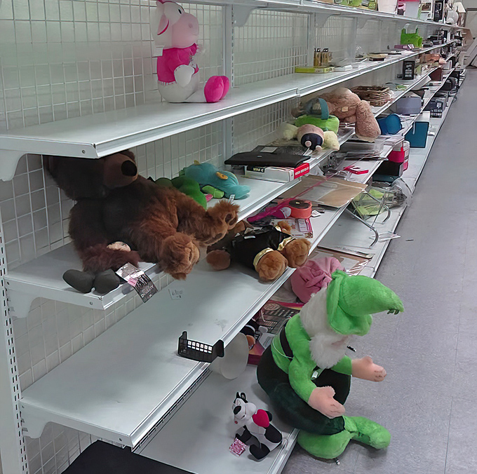 The stuffed animal section, where previously-loved teddy bears and bunnies wait patiently for their next cuddle companion.