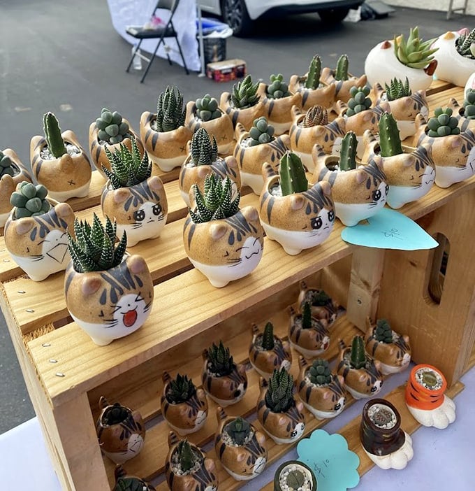 Succulent heaven in ceramic cat containers &ndash; because nothing says "California living" quite like tiny desert plants in whimsical pottery.