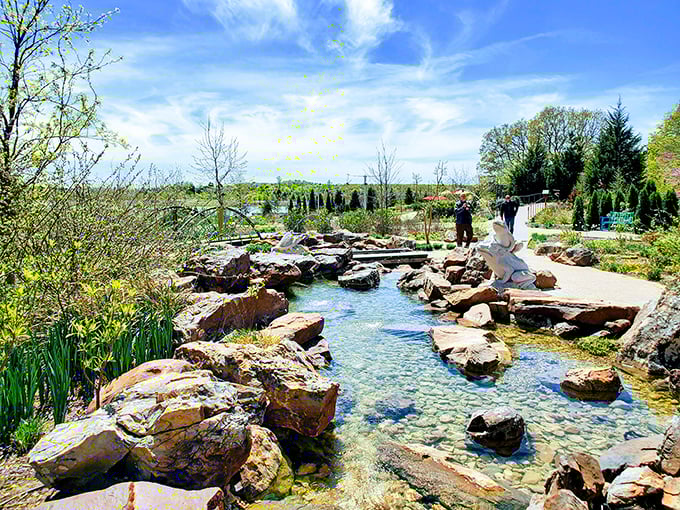 Crystal clear waters wind through carefully placed stones, creating a stream that looks suspiciously like it was designed by someone with a PhD in serenity.