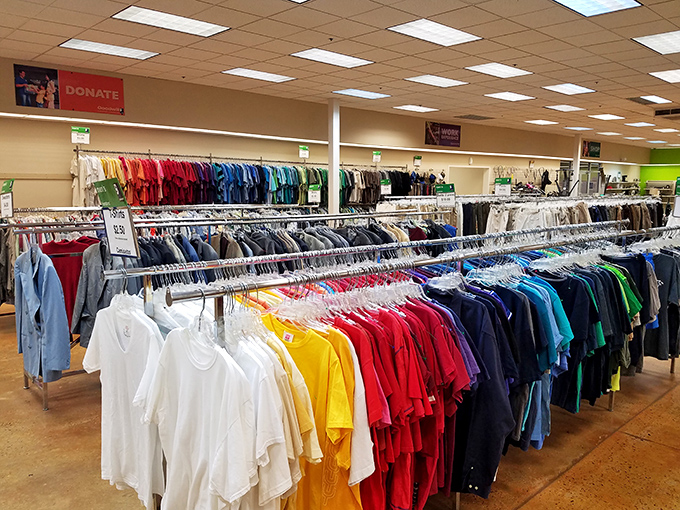 The rainbow effect in action: color-coded shirts creating a visual feast that makes finding your perfect $4 tee surprisingly efficient.