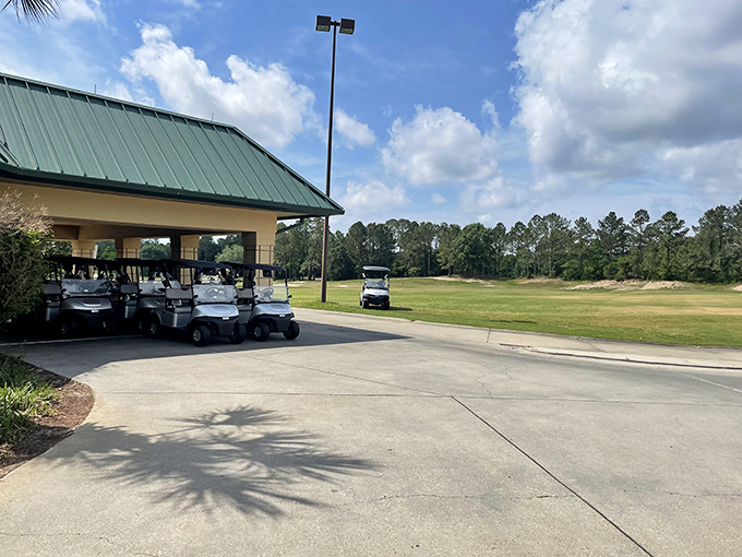 The Bridges Golf Club offers fairways that whisper, "Even your slice looks good here." Golf as it was meant to be&mdash;scenic and forgiving.