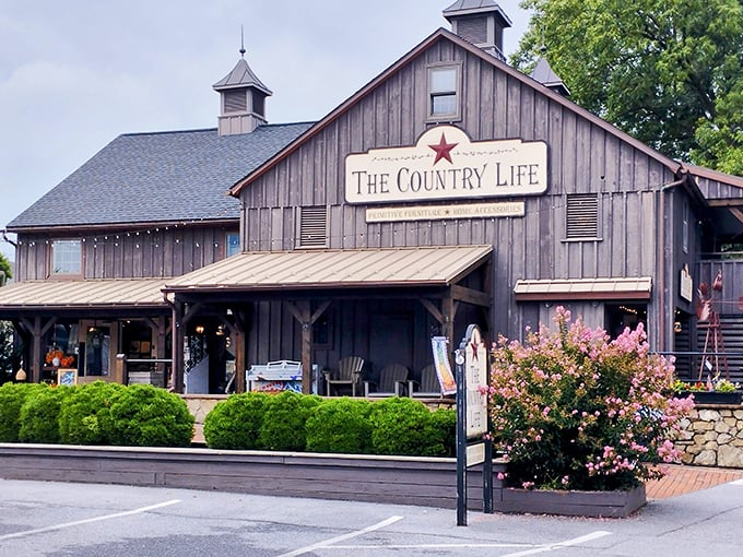 The Country Life store embodies rustic charm in its weathered barn siding. This is where Pennsylvania Dutch country aesthetic comes home to roost&mdash;literally.