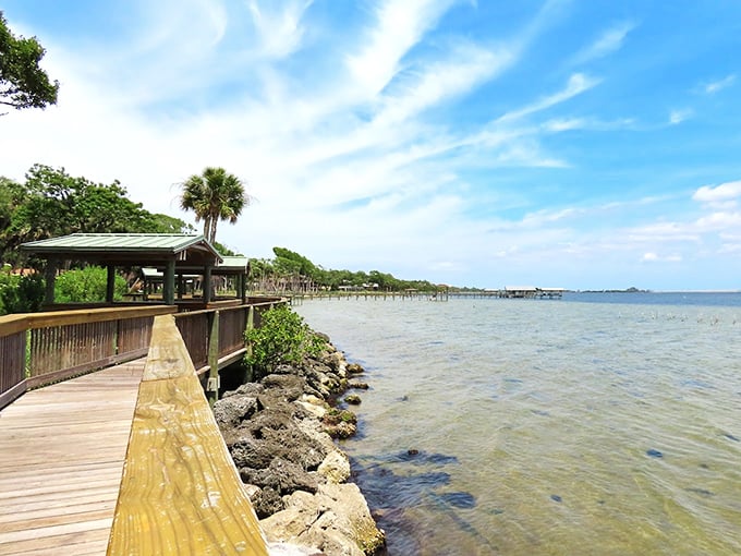 Tom Statham Park's boardwalk hugs the shoreline, offering front-row seats to nature's daily waterfront show.