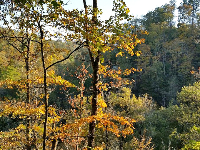 Fall paints Harrodsburg's forests with a palette that would make Bob Ross weep with joy. Nature's fireworks display comes without the loud noises.