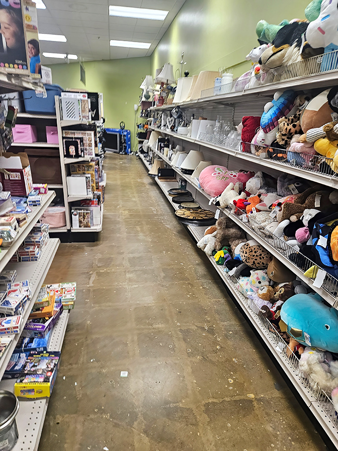Stuffed animal sanctuary meets childhood nostalgia factory. This aisle triggers more adult memories than the kids who currently browse it.