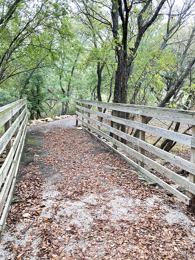 Wooden bridges through the forest &ndash; like something from a fairy tale, but with better safety railings.