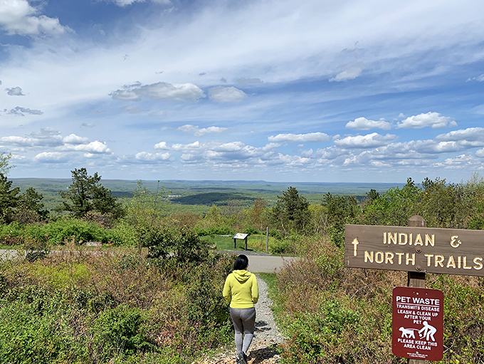 Trail markers pointing toward adventure. The sign says "Indian & North Trails," but it might as well read "This Way to Perspective."
