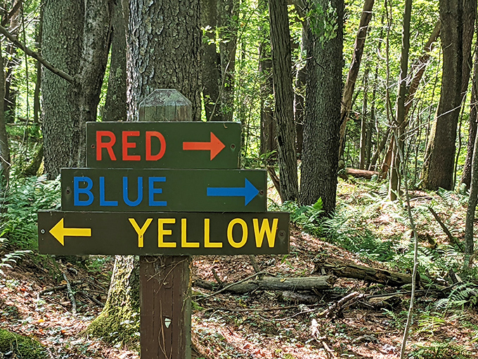 Choose your own adventure, color-coded for convenience. These charming trail markers prevent "pleasant afternoon stroll" from becoming "unexpected overnight camping."