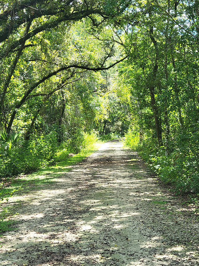 Nature's green tunnel invites you to explore what lies beyond. The path less traveled looks surprisingly inviting.