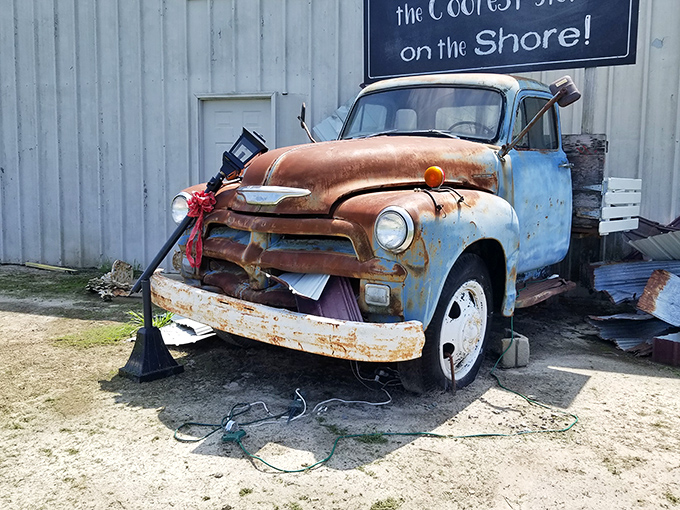 This weathered pickup isn't just rusty transportation &ndash; it's automotive poetry, a roadside sculpture celebrating America's love affair with trucks.