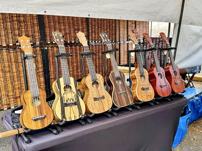 Ukulele lineup! These honey-toned beauties stand at attention, each one promising to turn your tone-deaf vacation videos into Hawaiian symphonies.