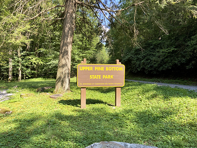 Upper Pine Bottom State Park welcomes outdoor enthusiasts with its understated entrance. Beyond this sign lies adventures ranging from casual strolls to serious wilderness exploration.