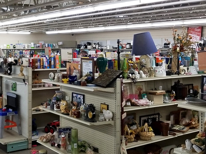 The home décor section – where yesterday's design trends come for their renaissance. One shopper's dated is another's delightfully retro.