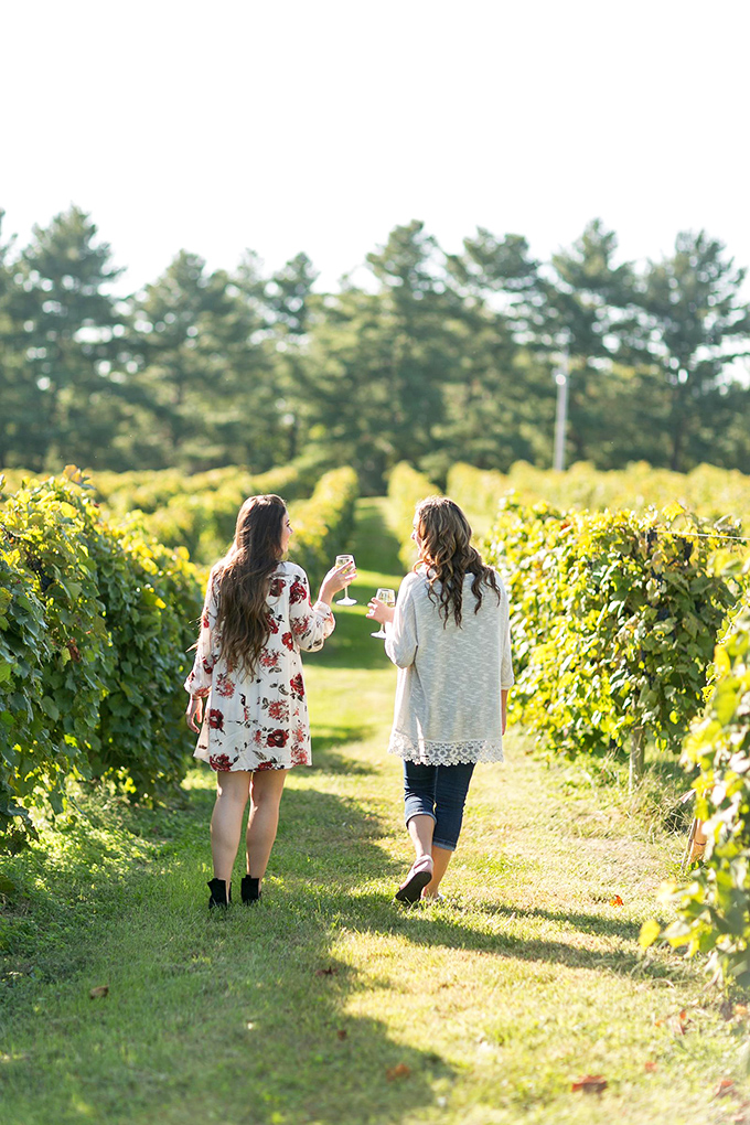 Strolling through sun-dappled vineyard rows with wine in hand – Missouri's version of a Tuscan afternoon without the passport requirement.