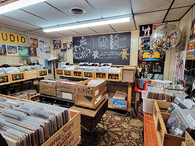 Vinyl heaven for music lovers who know albums weren't meant to be swiped but savored, one crackling groove at a time.