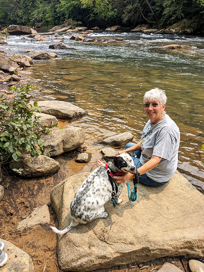 Riverside joy that needs no filter &ndash; just add water, rocks, sunshine, and a four-legged friend for instant happiness.