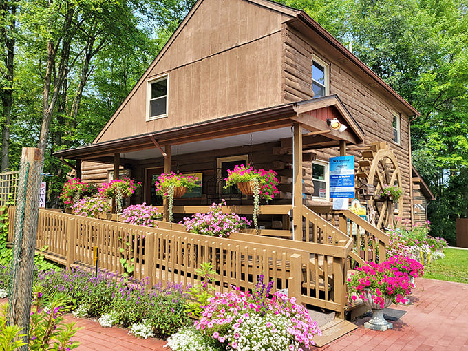 The visitor center welcomes with rustic charm and flower-draped porches. It's like your favorite cabin, but with better gardening tips.
