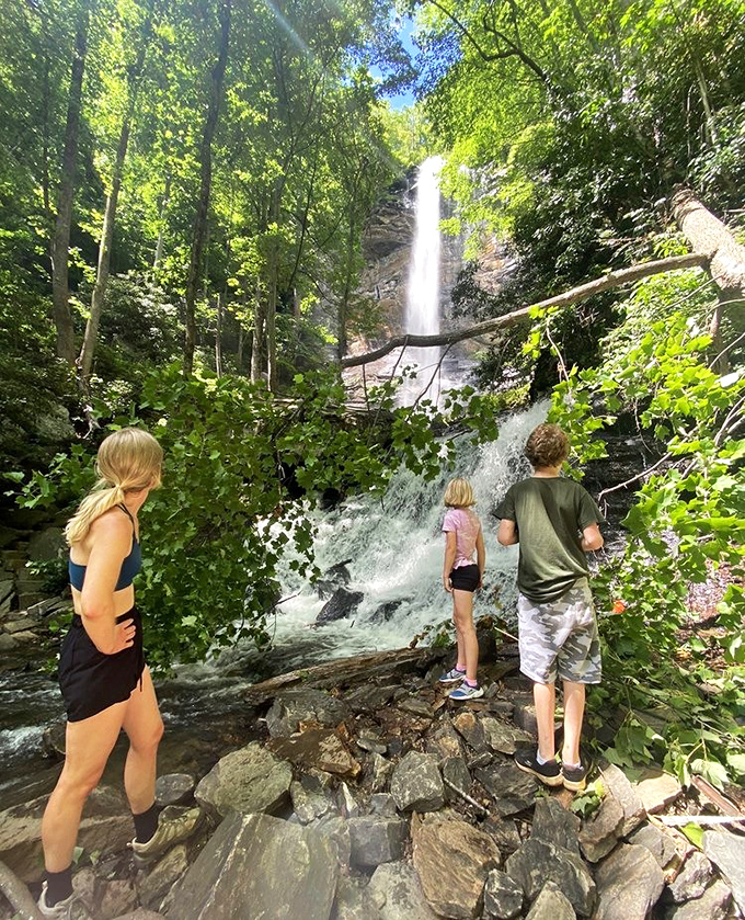 Waterfall watching: the original streaming entertainment that never buffers, crashes, or asks if you're still watching.