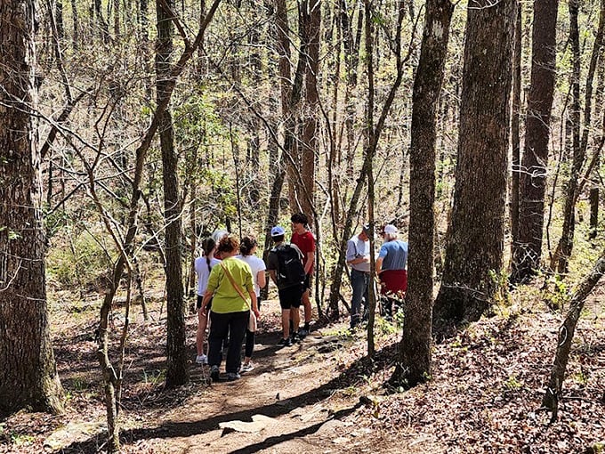 The best hiking companions are those who stop to notice the little things—like how sunlight filters through leaves creating nature's own light show.