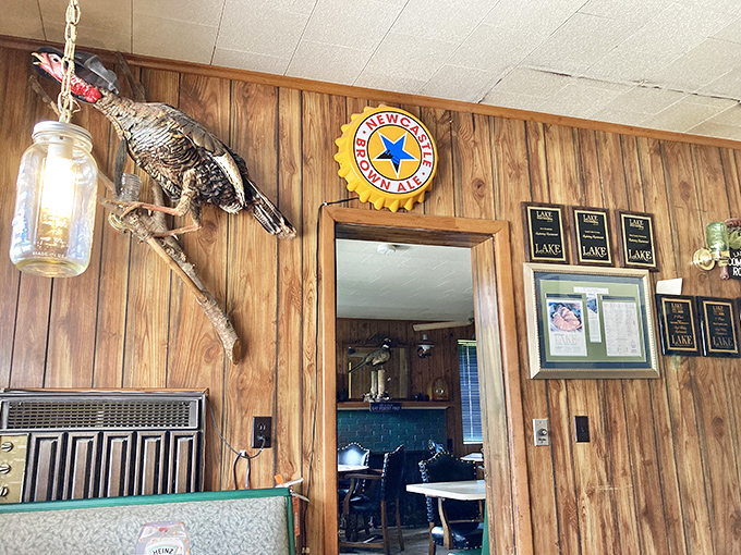 Taxidermy and wood paneling create that authentic "Old Florida" atmosphere that no designer could replicate. This place earned its character honestly.