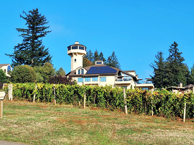 The distinctive tower rises majestically above estate vineyards like a lighthouse guiding wine lovers home.