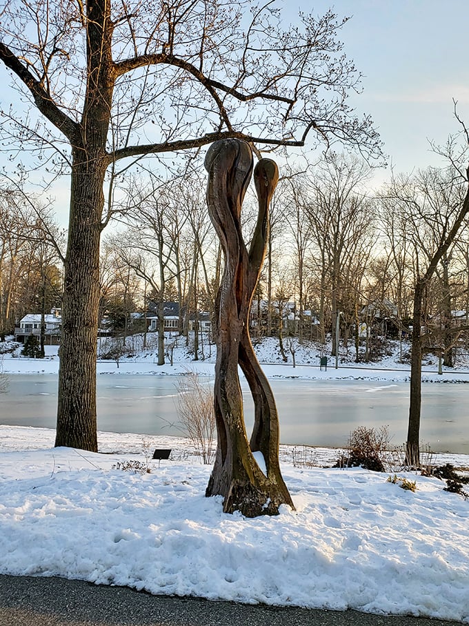 Winter transforms the lakeside into crystalline sculpture, reminding us seasons still matter despite climate confusion everywhere.