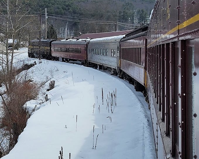 Winter transforms the journey into a snow globe come to life, the train curving gracefully through a landscape frosted like a baker's masterpiece.
