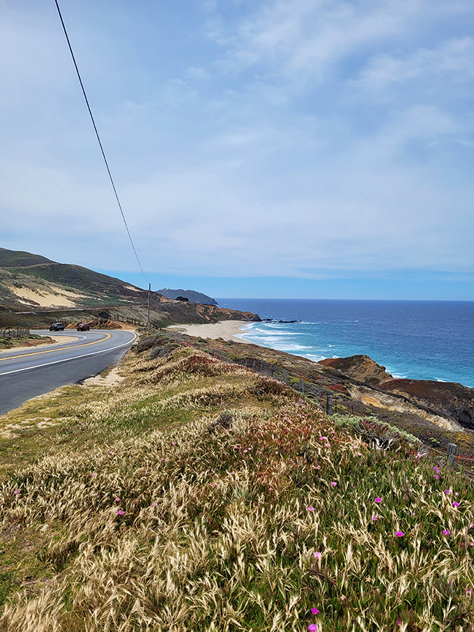 The road that launched a thousand postcards. This stretch of highway proves that sometimes the journey itself is the destination.