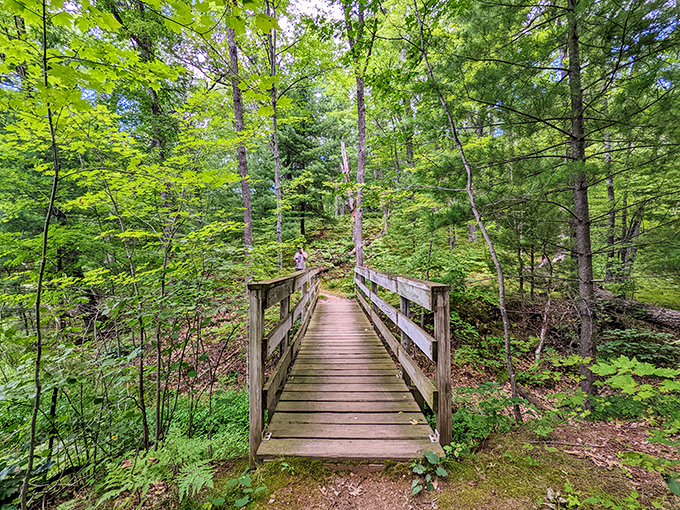 This wooden footbridge might as well be labeled "To Adventure." The weathered planks have carried countless explorers into Wisconsin's emerald embrace.