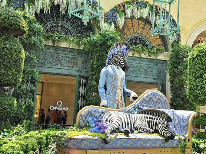 A regal zebra lounges on a Victorian sofa, looking like he's waiting for someone to bring him afternoon tea.