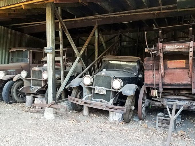 Detroit meets Camelot in this garage where vintage automobiles rest beneath rustic beams, waiting for their next adventure.