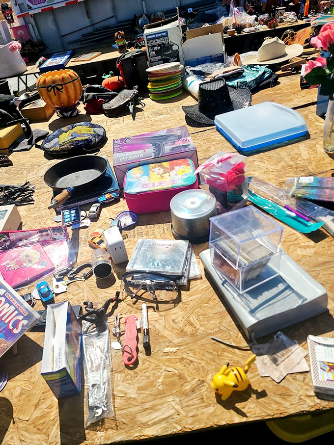 Sunlight illuminates a treasure trove of household items where practical meets whimsical. That blue cooler has picnics in its future.