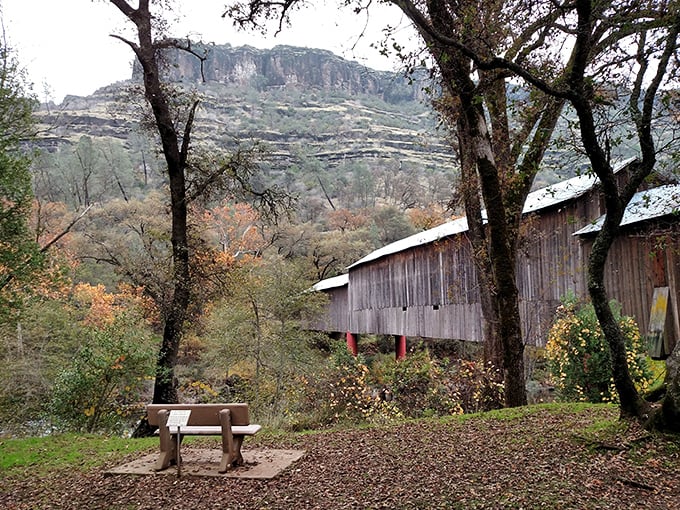 Autumn transforms the bridge into a painting come to life. That lone bench offers the best seat in the house for nature's seasonal show.