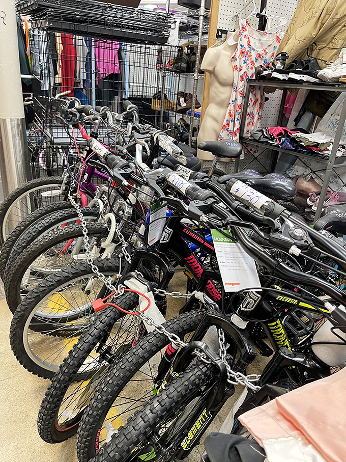 Bicycle battalion! These two-wheeled chariots stand ready for new adventures, from neighborhood cruising to serious trail exploration.