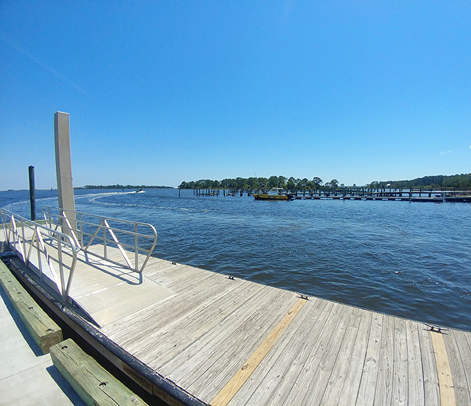 Simplicity becomes luxury when it leads to waters this pristine. This humble dock is the gateway to Panacea's aquatic playground.