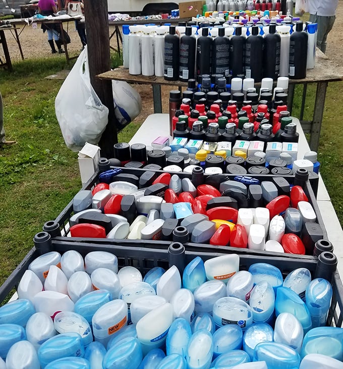 Household essentials lined up like soldiers ready for duty. The plastic container battalion stands prepared to organize someone's chaotic bathroom or laundry room.