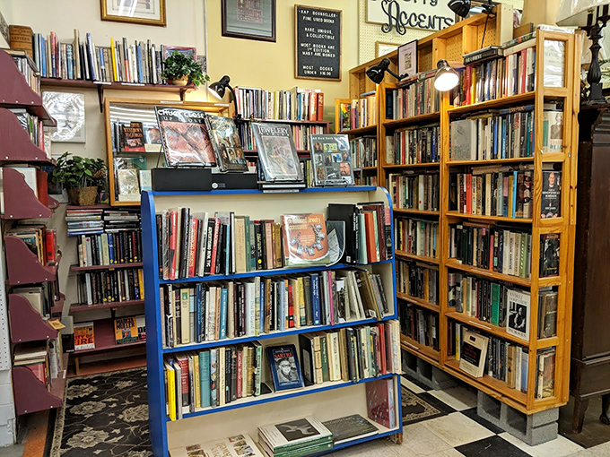 Books stacked with the promise of rainy day adventures. That blue bookshelf has witnessed more plot twists than a telenovela. 