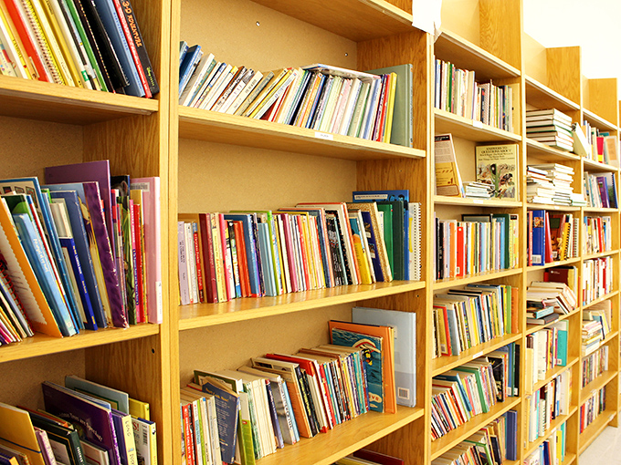 The book section continues with enough reading material to survive several apocalypses or just a really rainy weekend at the lake.