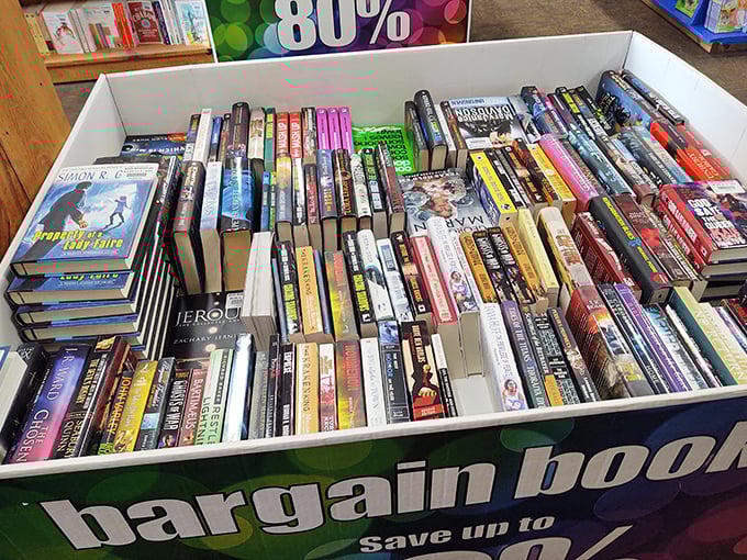The bargain book bin—literary treasures at prices that make your local library jealous. Beach reads without the beach price tag.