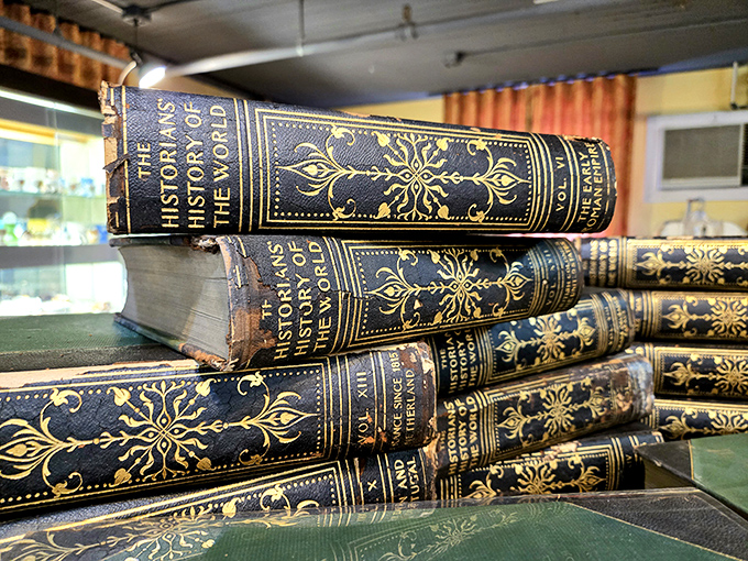 Leather-bound books stack like wisdom sandwiches, their gold-embossed spines promising adventures that don't require Wi-Fi or batteries.