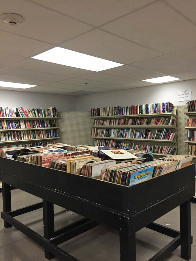 The vinyl section—where album-flipping becomes time travel and forgotten musical treasures await rediscovery for less than a streaming subscription.