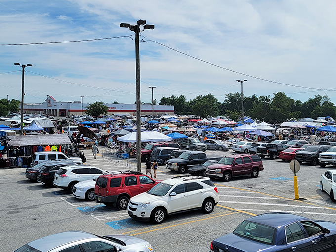 The weekend parking lot transforms into a pop-up neighborhood where strangers become temporary community members united by bargain hunting.