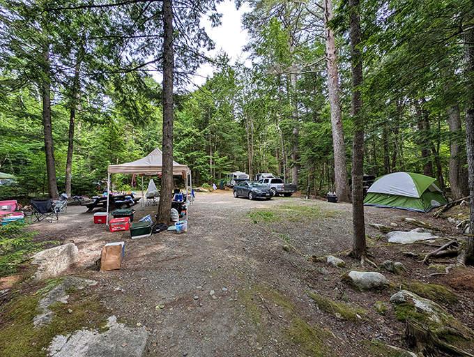Camping as it should be: spacious sites where your closest neighbors are pine trees and the occasional curious chipmunk.